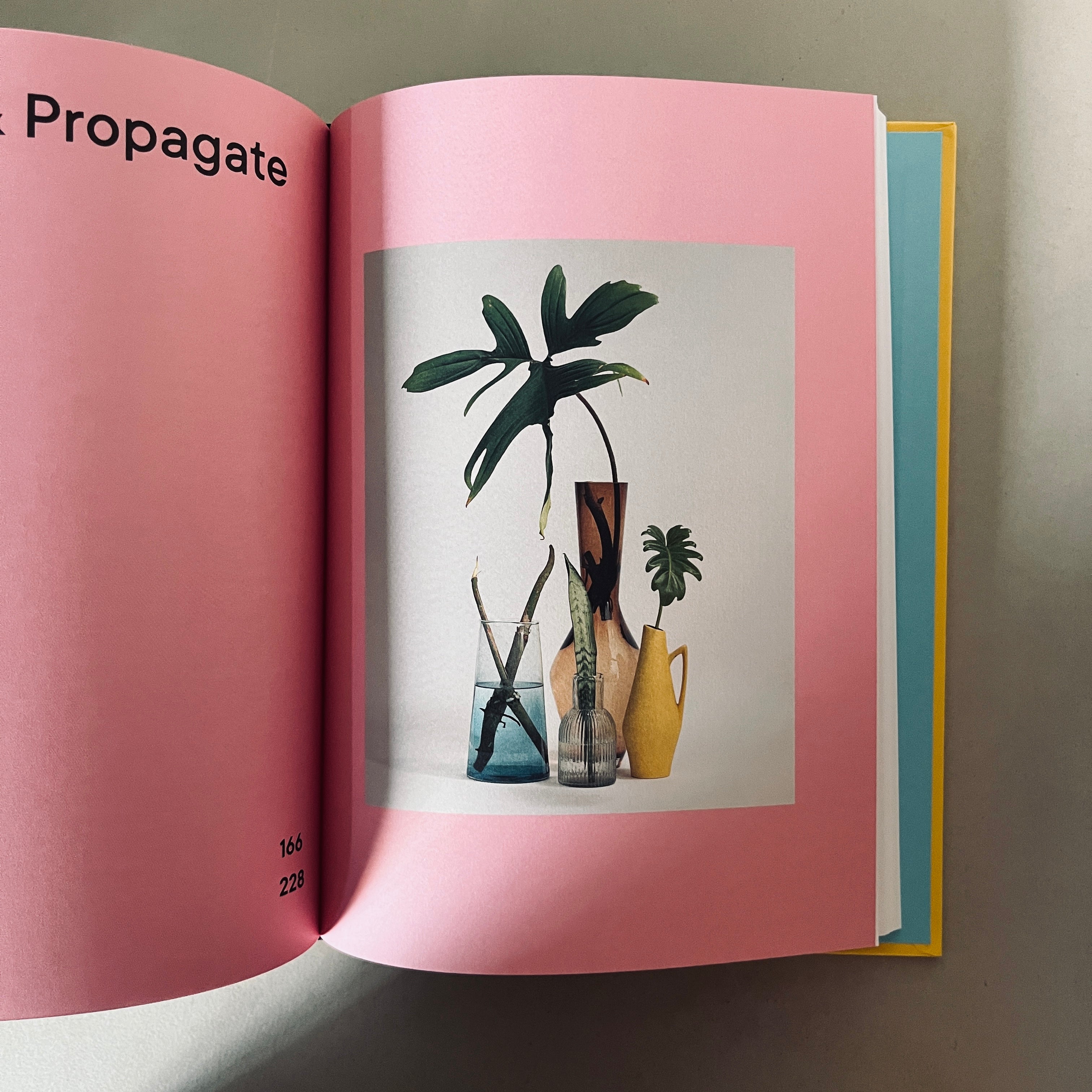 Mahala Independent Bookstore